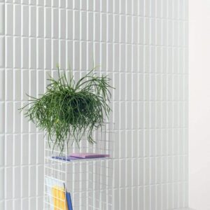 Biscuit by 41zero42 | Tile X Design