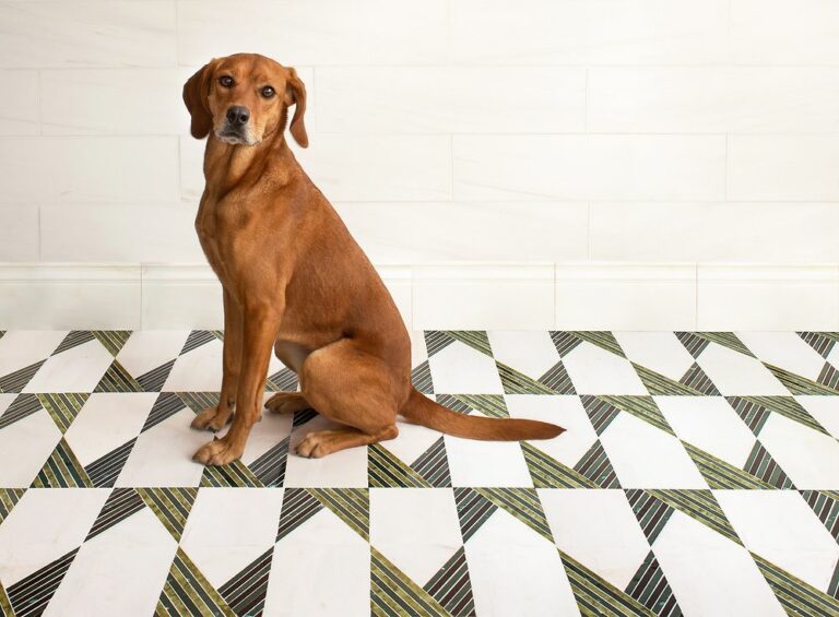 Bright Young Things by New Ravenna | Tile X Design
